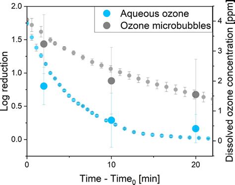 Evaluating The Potential Of Ozone Microbubbles For Inactivation Of