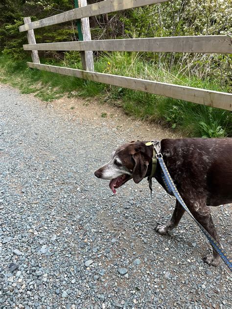 Denise Lear Denise Lear Added A New Photo