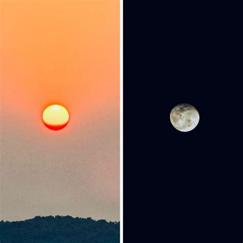 Dr Anupam Rana On Linkedin Hopeandhealing Inclusion Balance