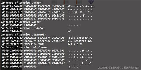 Elf文件结构 Csdn博客