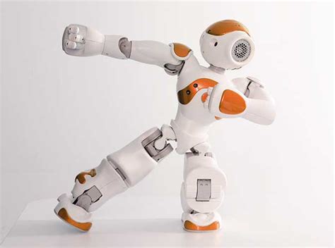 Robot Nao Event Rental And Digital Animation Puremotion