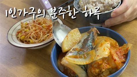 1인가구 Vlog 작은 행복으로 하루를 채워가는 30대 미혼 일상 Youtube
