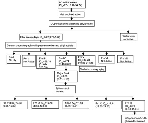 Scheme For Bioactivity Guided Fractionation Of Manera Indica Leaf Download Scientific
