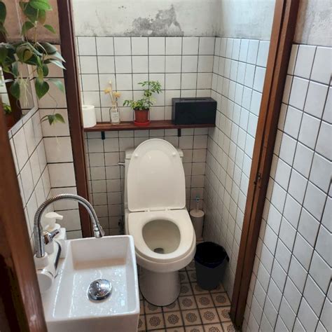 반려생활 청양 애견동반 카페 원래 보건소였던 곳이 카페로 청양 춘소커피