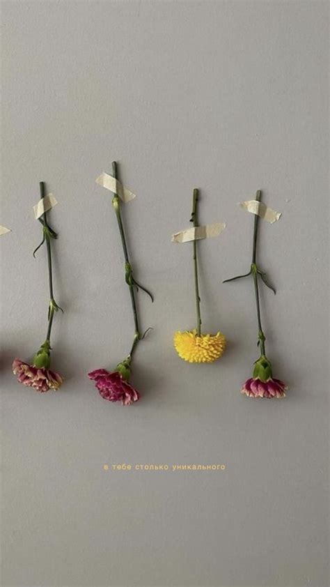 Эстетичные обои на твой Iphone Цветочные магазины Флористика Цветочный