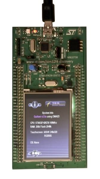 File STM F Web Guiliani