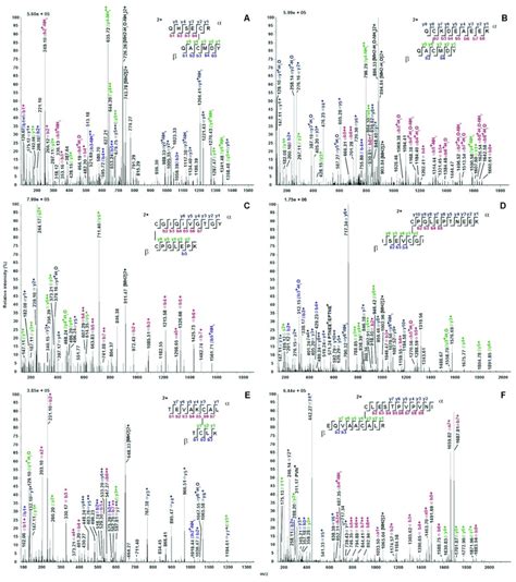 Exemplificative Fragmentation Spectra Of Disulfide Bridged Peptides