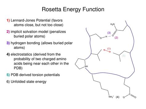 Ppt Protein Folding Protein Structure Prediction Protein Design