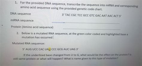 Solved For The Provided DNA Sequence Transcribe The Chegg