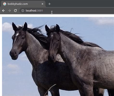 How To Use An Image As A Link In React Js Bobbyhadz