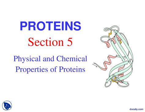 Physical And Chemical Properties Of Proteins Protemics Lecture Slides