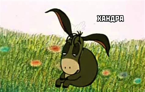 Ослик иа картинки прикольные - 62 фото
