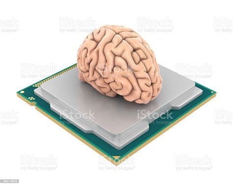 고립 된 인간의 두뇌와 컴퓨터 프로세서 Cpu Cpu에 대한 스톡 사진 및 기타 이미지 Cpu 데이터 디지털 생성 이미지 Istock