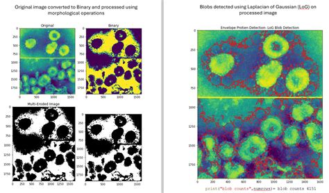 GitHub AshishPandey Blob Detection Coronavirus Envelope Protien Here Is The Application Of