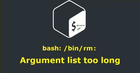 bash bin rm argument list too long hatası pluslayer blog
