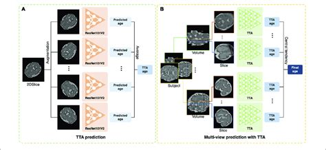 Illustration Of Test Time Augmentation Tta And Brain Age Prediction Download Scientific