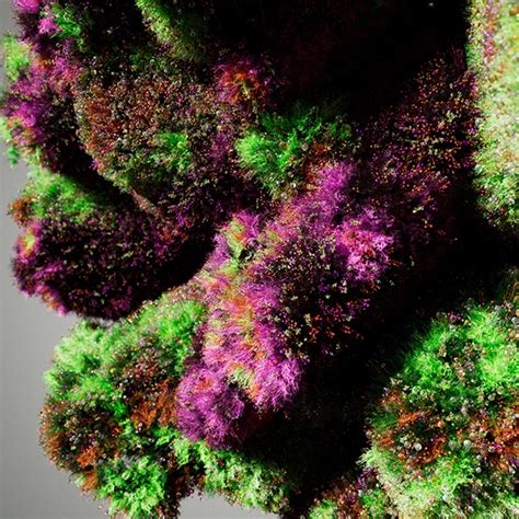 Pedanios 10 10 Eqi Ca Extrakt Preisübersicht