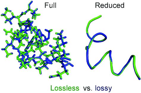 Lossless Vs Lossy Representation Of A Protein Structure This Example Download Scientific