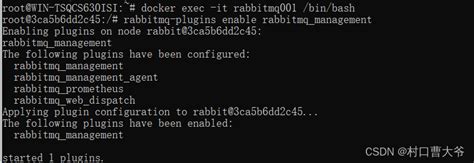 Docker安装rabbitmq 阿里云开发者社区