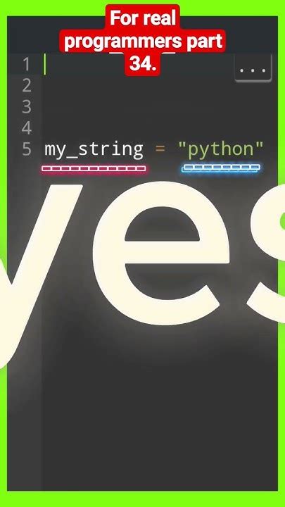 For Real Programmers Part 34 Forreal Viral Youtubeshorts Codinglover Pythonprogramming