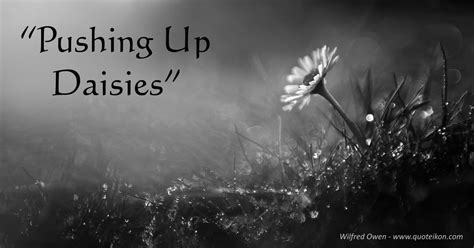 Pushing Up Daisies