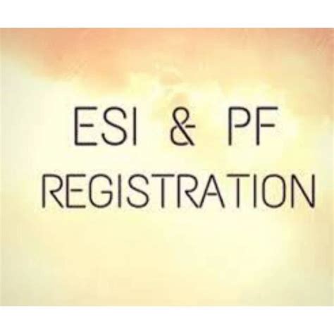 Esi Epf Registration Service At ₹ 12999 In New Delhi Id 2855323008630