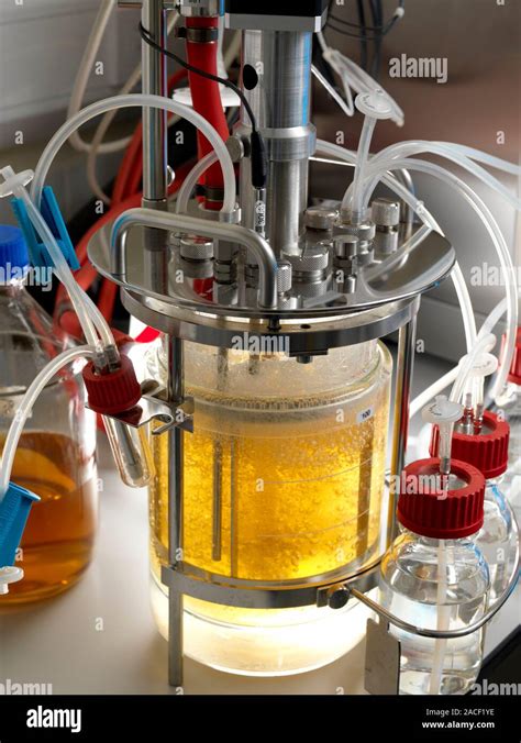 Bioreactor Small Scale Bioreactor Used For Cell Growth And Recombinant