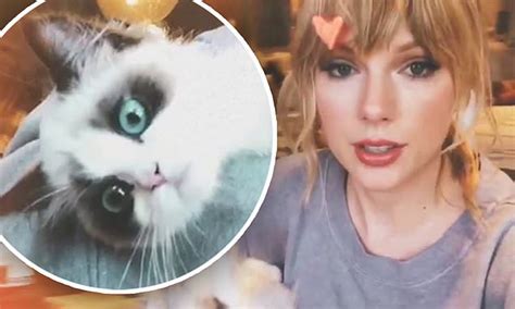 Taylor Swift Coos Over Her New Kitten Benjamin Button Who Likes