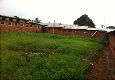 Solar Without Frontiers Blog Archive Installation Report