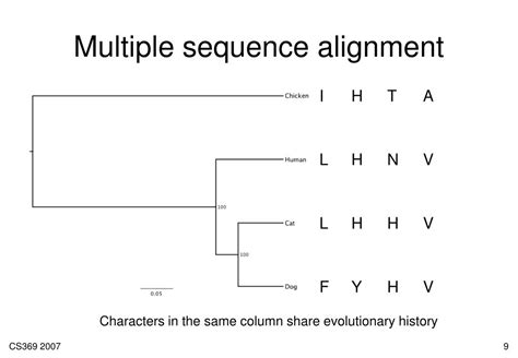 ppt multiple sequence alignment powerpoint presentation free