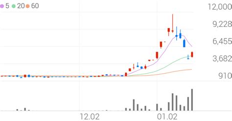 한국첨단소재 2982 상한가 조선비즈