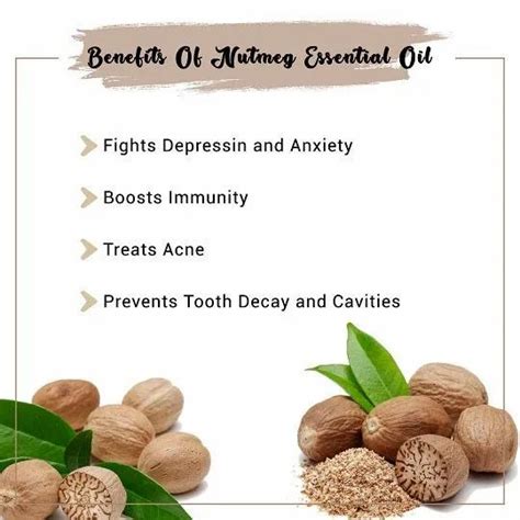 Nutmeg Essential Oil At ₹ 189900 Nutmeg Oil Id 26624235012