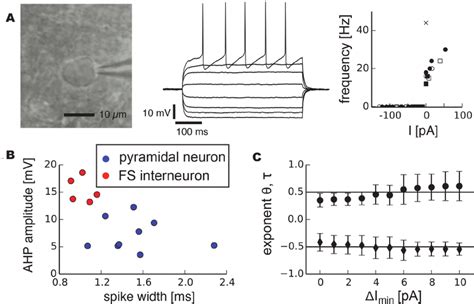Scaling Analysis Of Indicators Related To Critical Slowing Down In Download Scientific Diagram