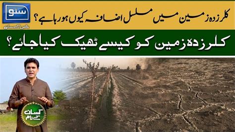 Soil Salinity And Its Controlling Methods For Farming How To Manage Soil Salinity