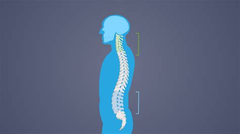 How Spinal Stenosis Is Diagnosed And Treated New Jersey Brain And Spine