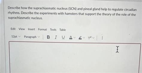 Solved Describe How The Suprachiasmatic Nucleus Scn And