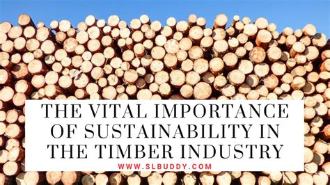 The Vital Importance Of Sustainability In Timber Industry