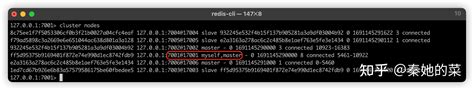 【保姆级】redis集群（cluster）本地案例手把手操作指南（含常见问题以及处理方式） 知乎