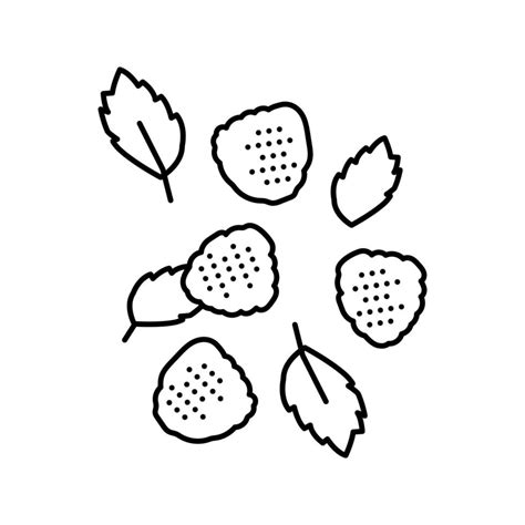 Ripe Raspberry Berries Line Icon Vector Illustration 19001741 Vector Art At Vecteezy