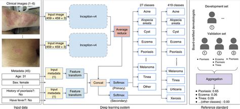 Overview Of The Development And Validation Of Our Dls For Each Case