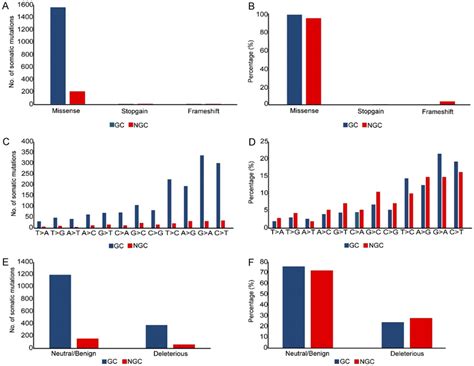 A Bar Chart Representation Of The Number Of Somatic Mutations