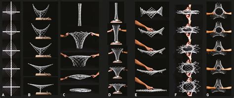 Morphology Of Kinetic Asymptotic Grids Eike Schling