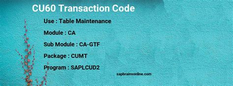 CU60 SAP Tcode For Table Maintenance