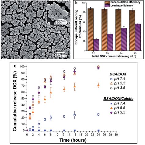 A Sem Micrograph Of The Dry Bsa Nanogels B Chart Of The