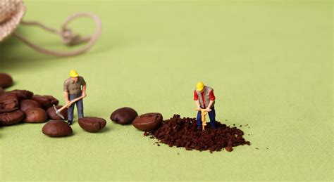 Assessing Bias From The Mis Use Of Covariates A Meta Analysis Cega