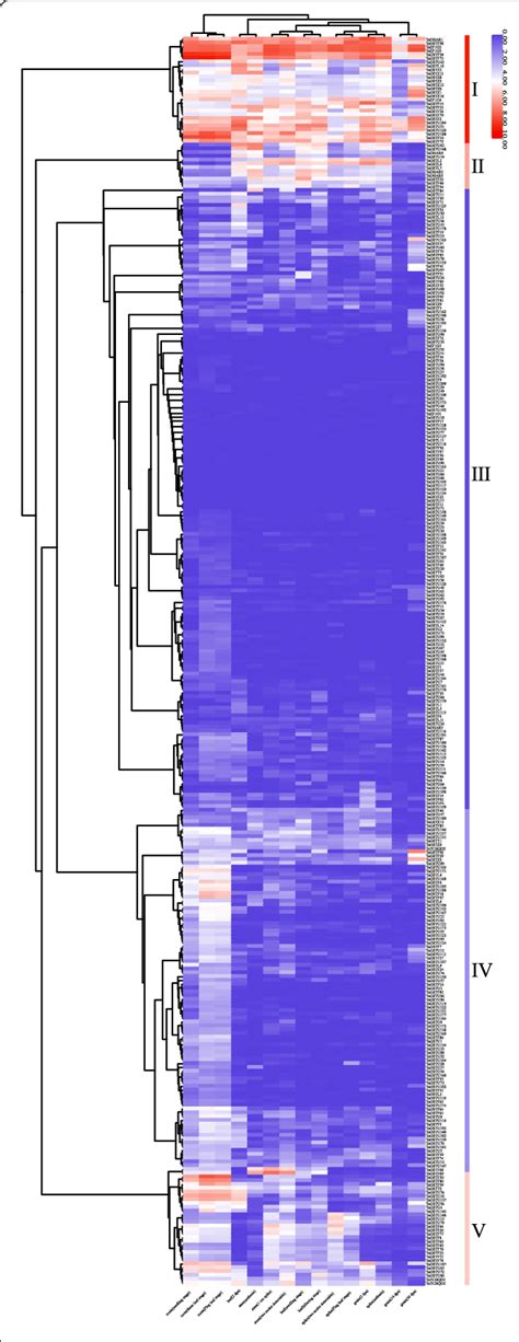 Expression Profiles Of Tagst Genes Involved In 15 Tissues The Color