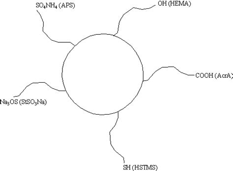 Scheme Functional Side Groups That Could Be On The Particle Surface Download Scientific