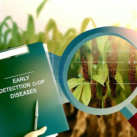Transforming Ai In Agriculture Empowering Early Intervention In Crop