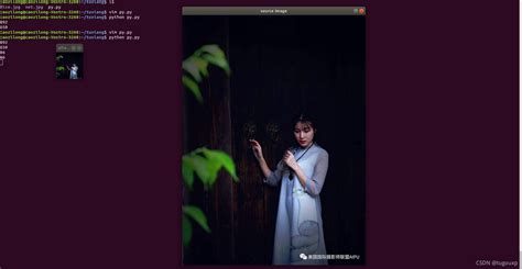 用最近邻插值nearest Neighbor Interpolation进行图片缩放papaofdoudou的博客 Csdn博客最近邻差值
