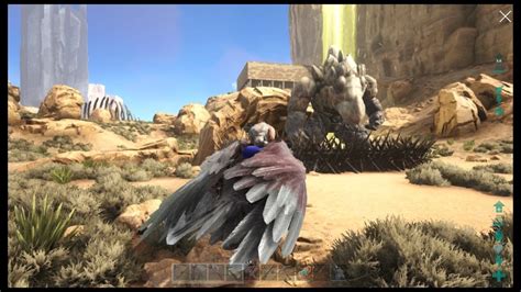 Rock Element Spawns On Top Of My Tame How Is This Even Possible R